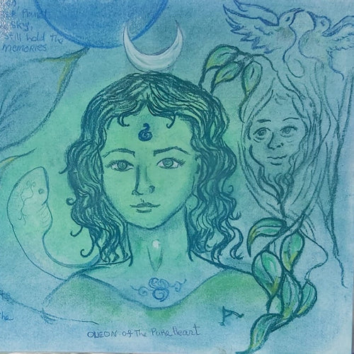 Energy and Wellbeing Expos – Magicality